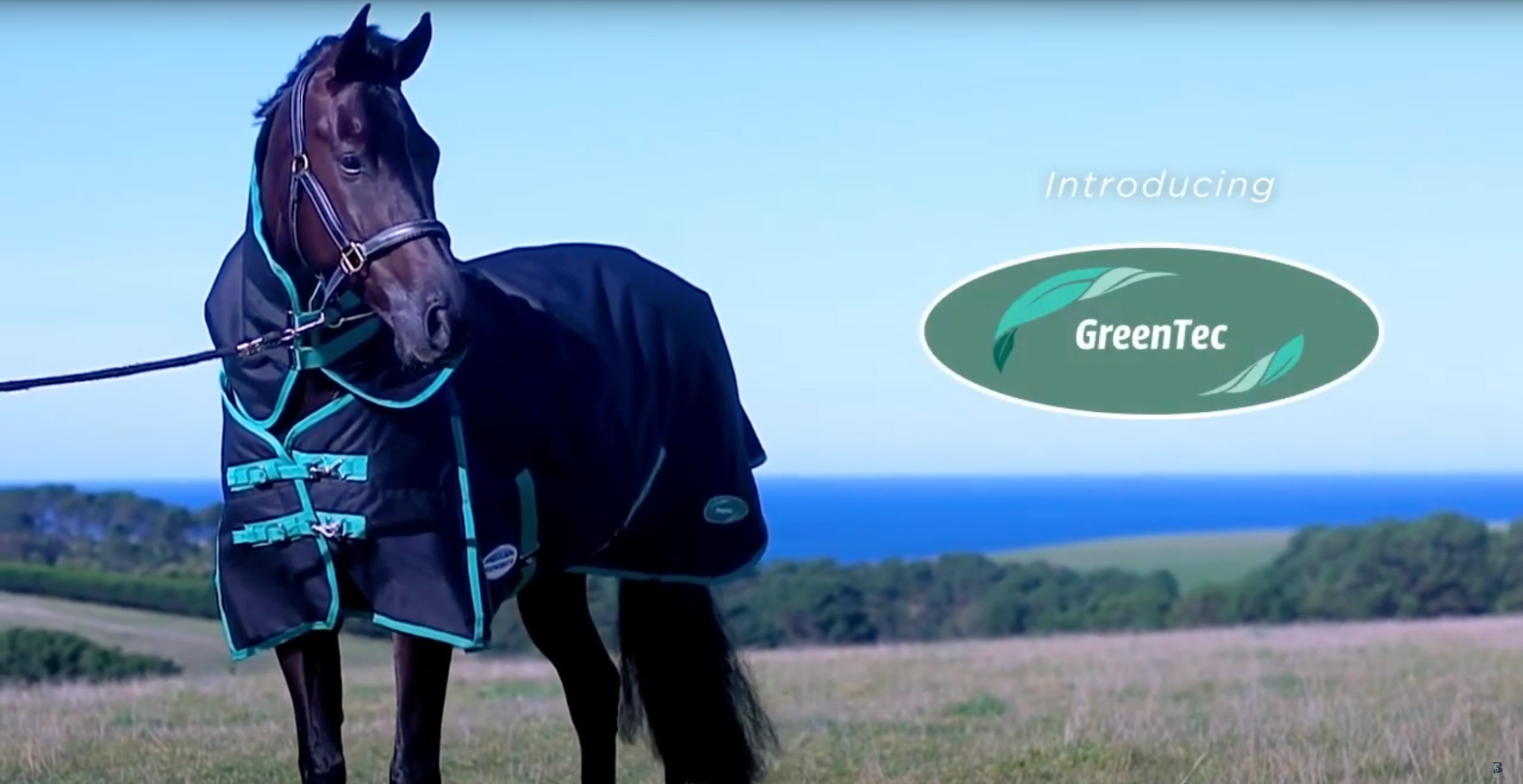 Belcadan – Belcadan Equestrian