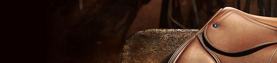 Belcadan – Belcadan Equestrian